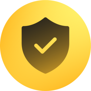 1:1 Director Involvement